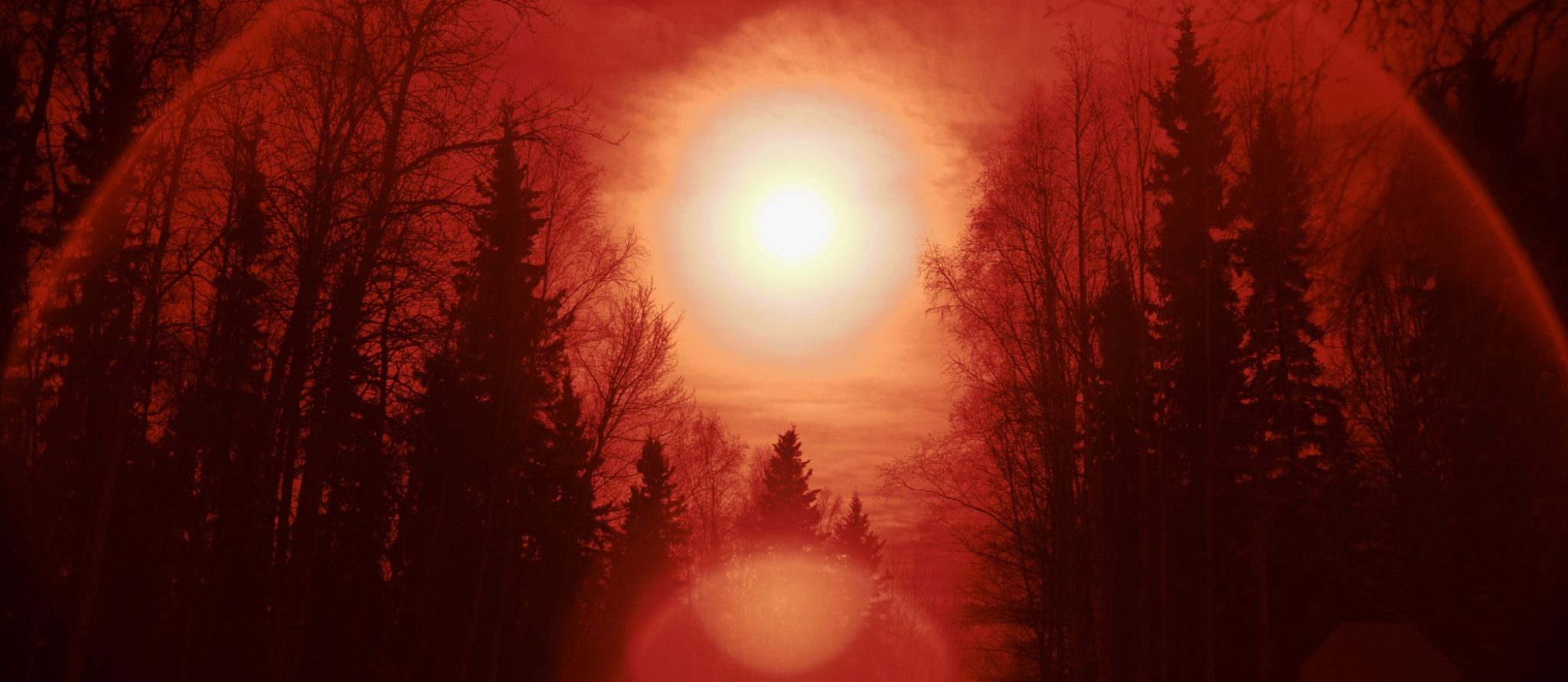 Die besten Rotlichtlampen im Vergleich (Test) | Infrarotlampe ...